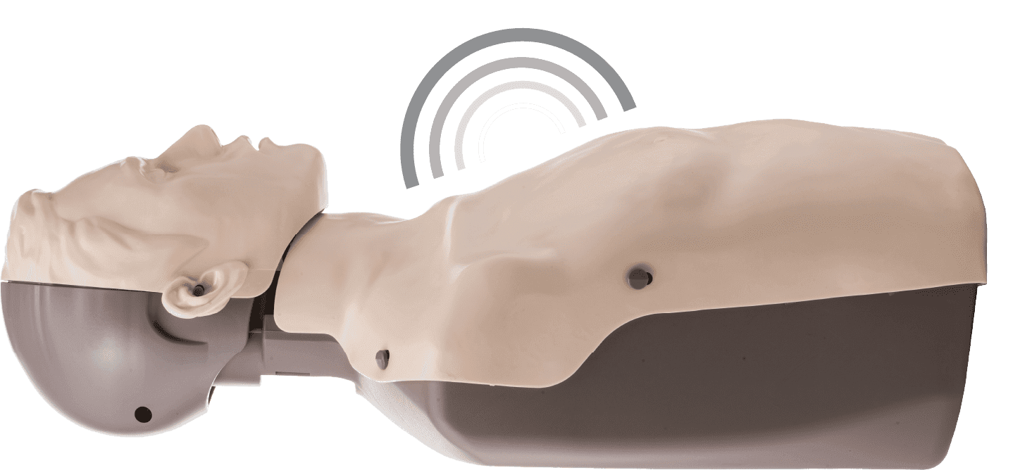 Innosonian Brayden Manikin – Basic - Turtle defib cabinets